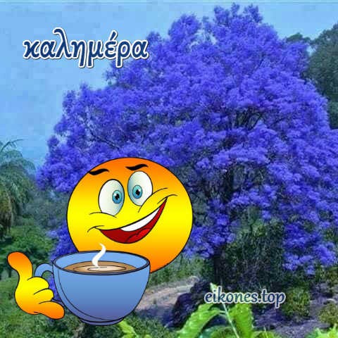 Καλημέρα και καλή Πέμπτη με τις ωραιότερες καλημέρες για σένα ...
