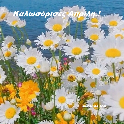 Απρίλιος: Εικόνες για καλό μήνα! - eikones top