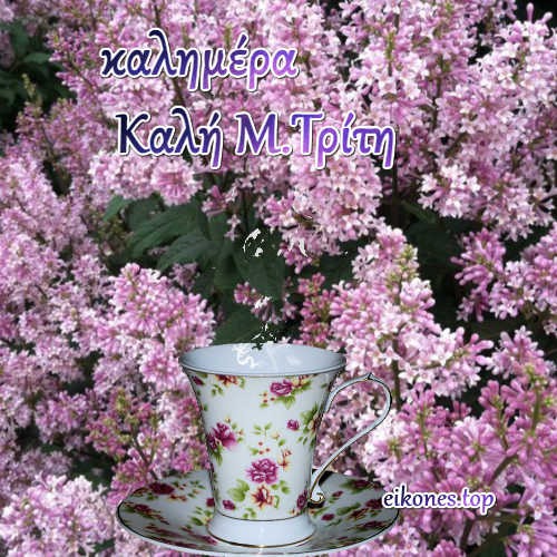 Ευλογημένη Μ.Τρίτη...Καλημέρα - eikones top