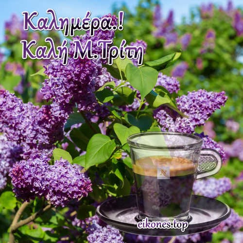 Ευλογημένη Μ.Τρίτη...Καλημέρα - eikones top