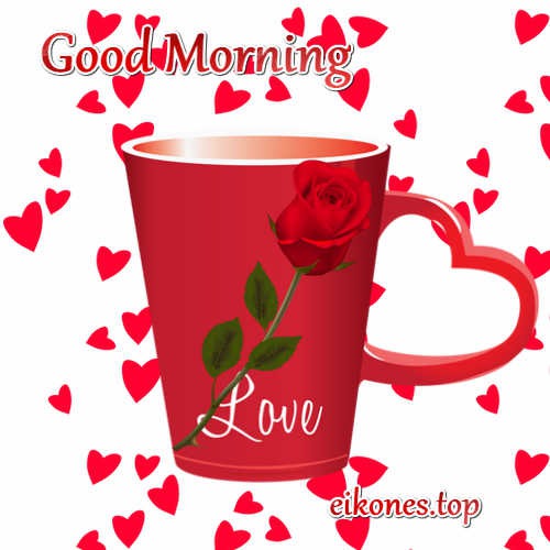 Good Morning : Exclusive images - eikones top