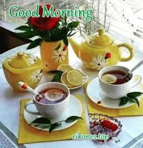 Good Morning : Exclusive images - eikones top