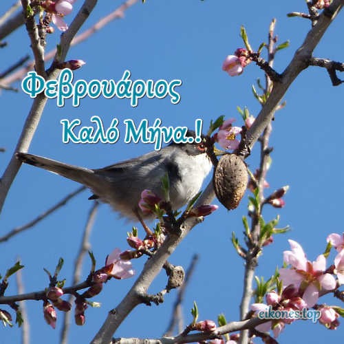 Καλώς Ηρθες Φεβρουάριε....Καλό Μήνα με Εικόνες Τοπ - eikones top