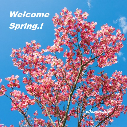 Welcome Spring.! - eikones top