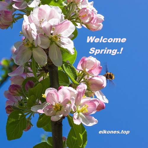 Welcome Spring.! - eikones top