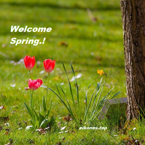 Welcome Spring.! - eikones top
