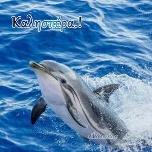 Καλησπέρα με εικόνες δίπλα στη θάλασσα.! - eikones top