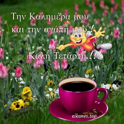 Ευχές για μια όμορφη Τετάρτη σε όλους.! - eikones top