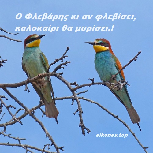 ΦΕΒΡΟΥΑΡΙΟΣ: Παροιμίες ,Γιορτές Και Έθιμα - eikones top