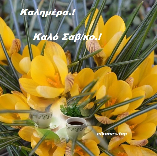 Καλημέρα Και Καλό Σαβ/κο Με Εικόνες Της Άνοιξης.! - eikones top
