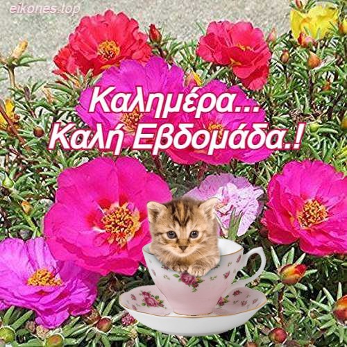 Καλημέρα Και Καλή Εβδομάδα Με Εικόνες Τοπ.! - eikones top