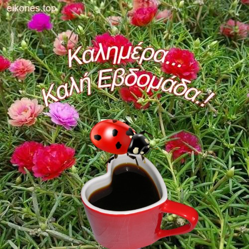 Καλημέρα Και Καλή Εβδομάδα Με Εικόνες Τοπ.! - eikones top