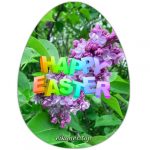 Eikones Top Pictures For Happy Easter !! - eikones top