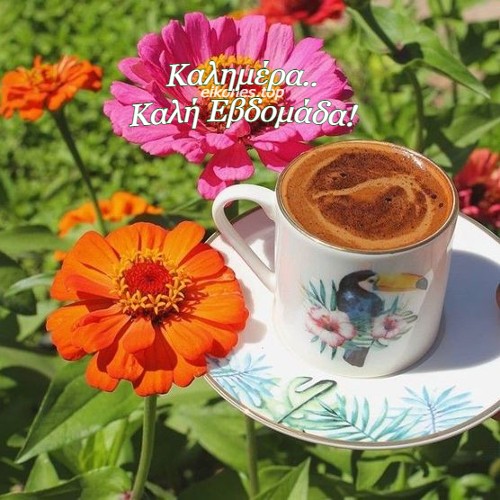 Kαλημέρα σε όλους και καλή εβδομάδα με Εικόνες Τοπ! - eikones top
