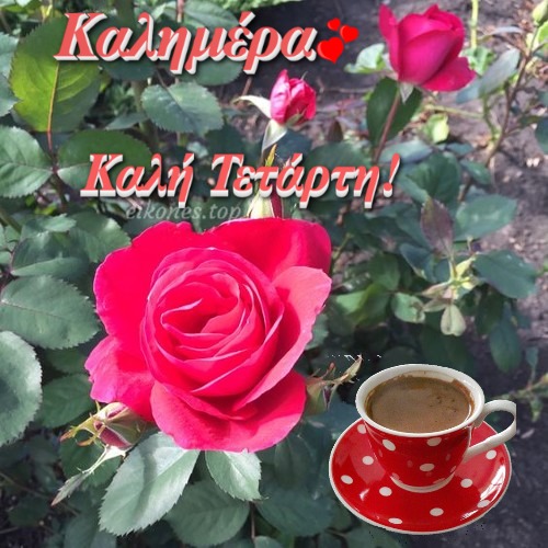 Καλημέρα.... όμορφη Τετάρτη με Εικόνες Τοπ! - eikones top