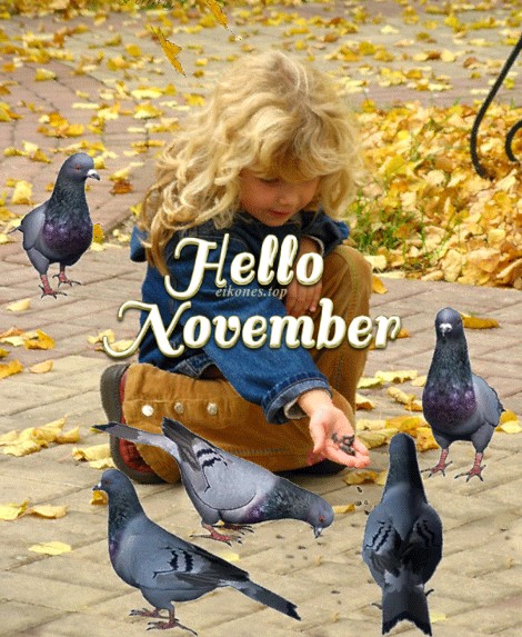Hello November - eikones top