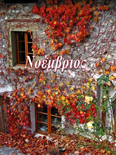 Εικόνες Τοπ Για Τον μήνα Νοέμβριο - eikones top